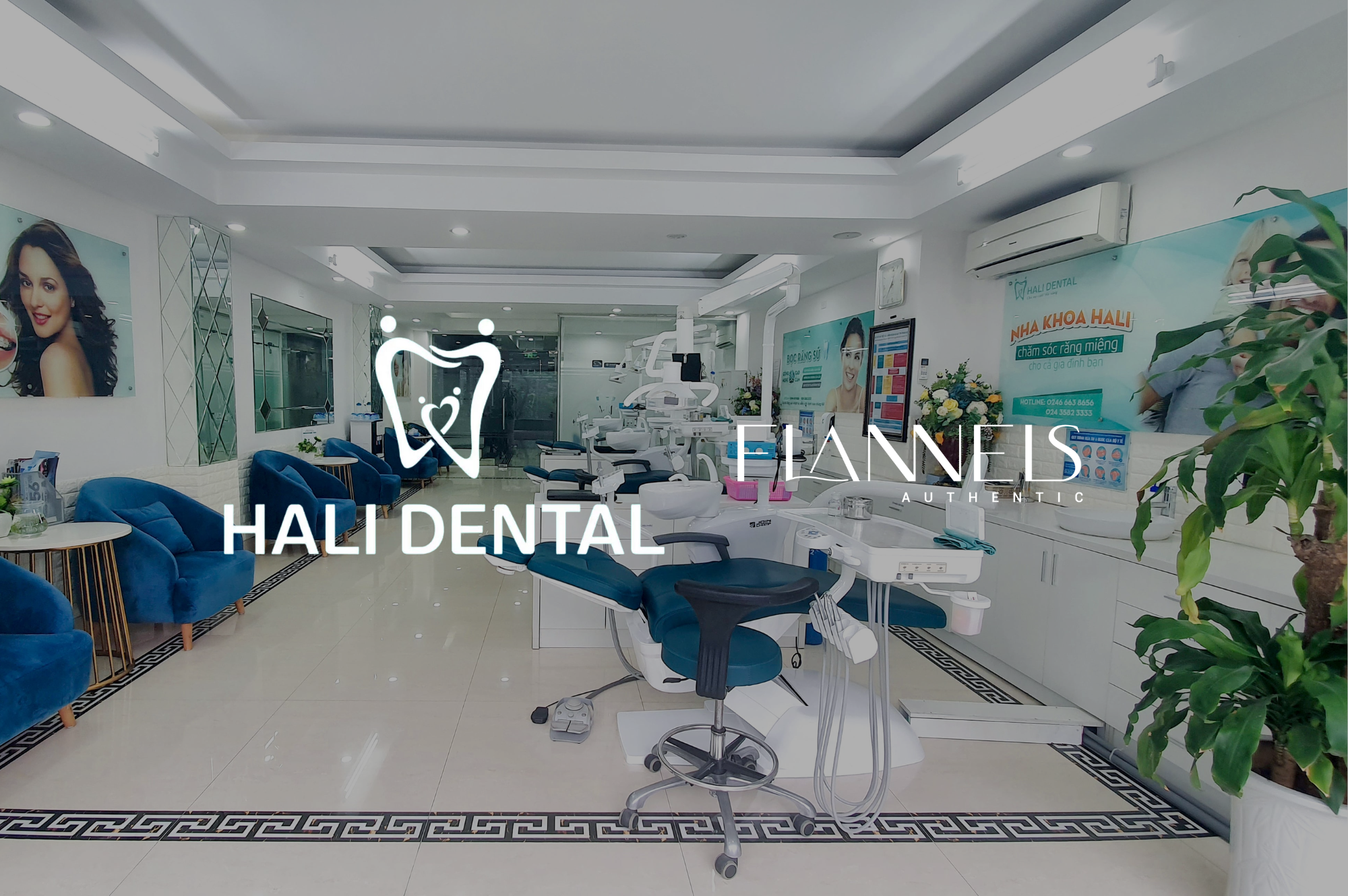 FLANNELS x Hali Dental